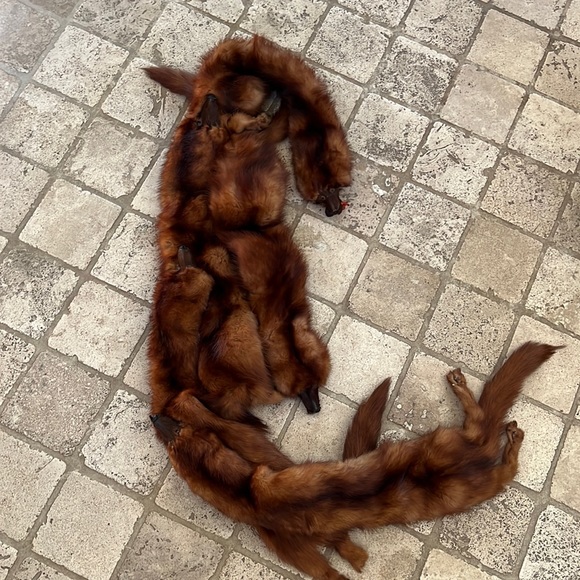 Accessories | Vintage Super Old Mink Wrap Amazing Condition 5 Little ...